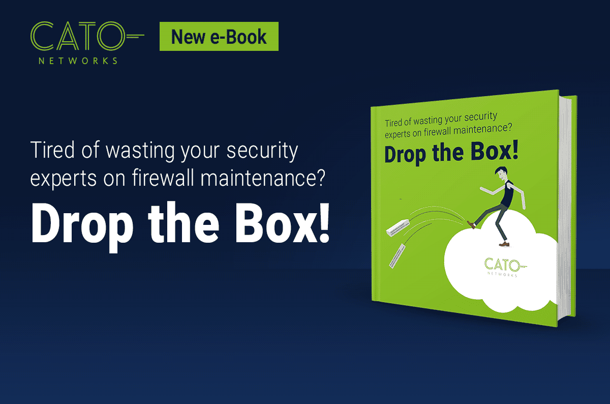 Remote Access Network Architecture | Cato Networks