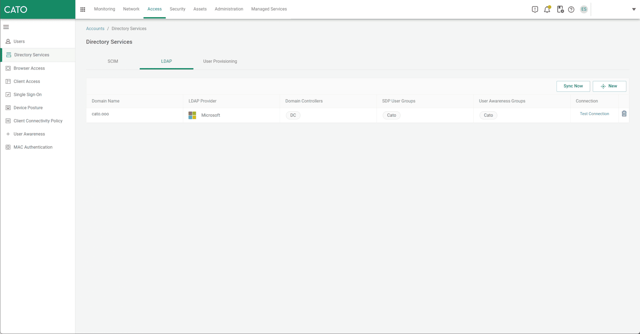 Optimized and Secure Remote Access | Cato Network