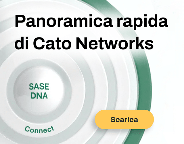 Cosa sono i tunnel VPN e come funzionano? | Cato Networks